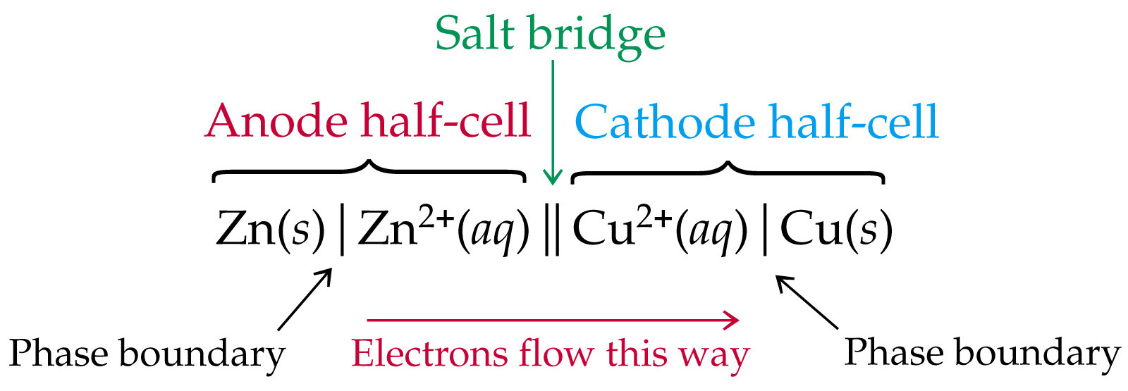 ZNotes - For Students. By Students.