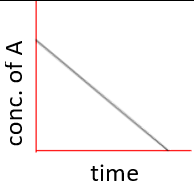 ZNotes - For Students. By Students.