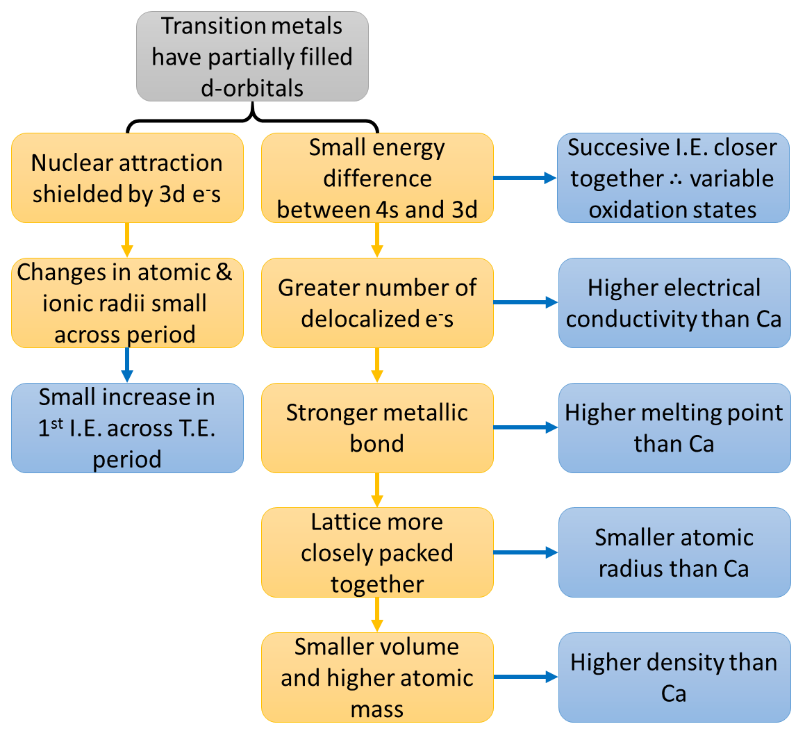 ZNotes - For Students. By Students.