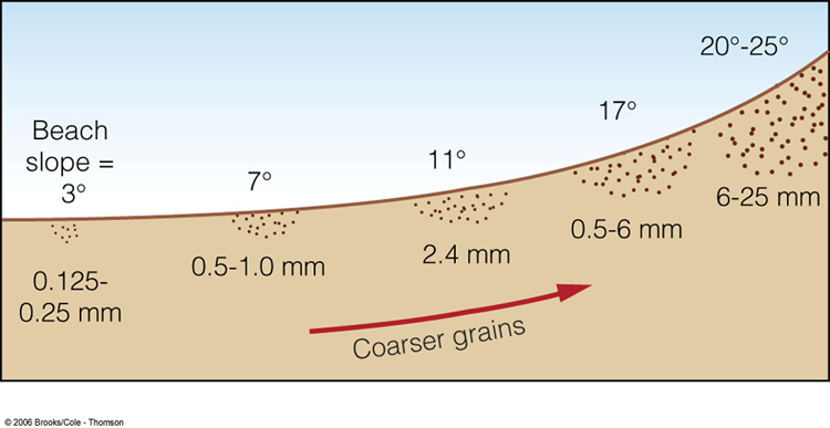 ZNotes - For Students. By Students.