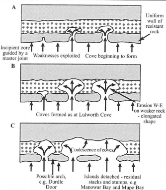 ZNotes - For Students. By Students.