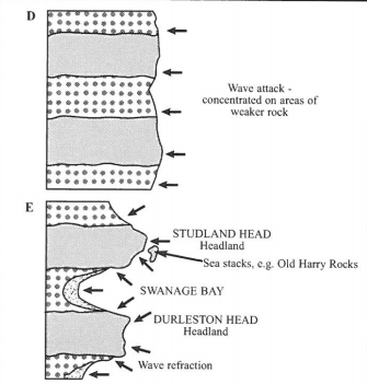 ZNotes - For Students. By Students.