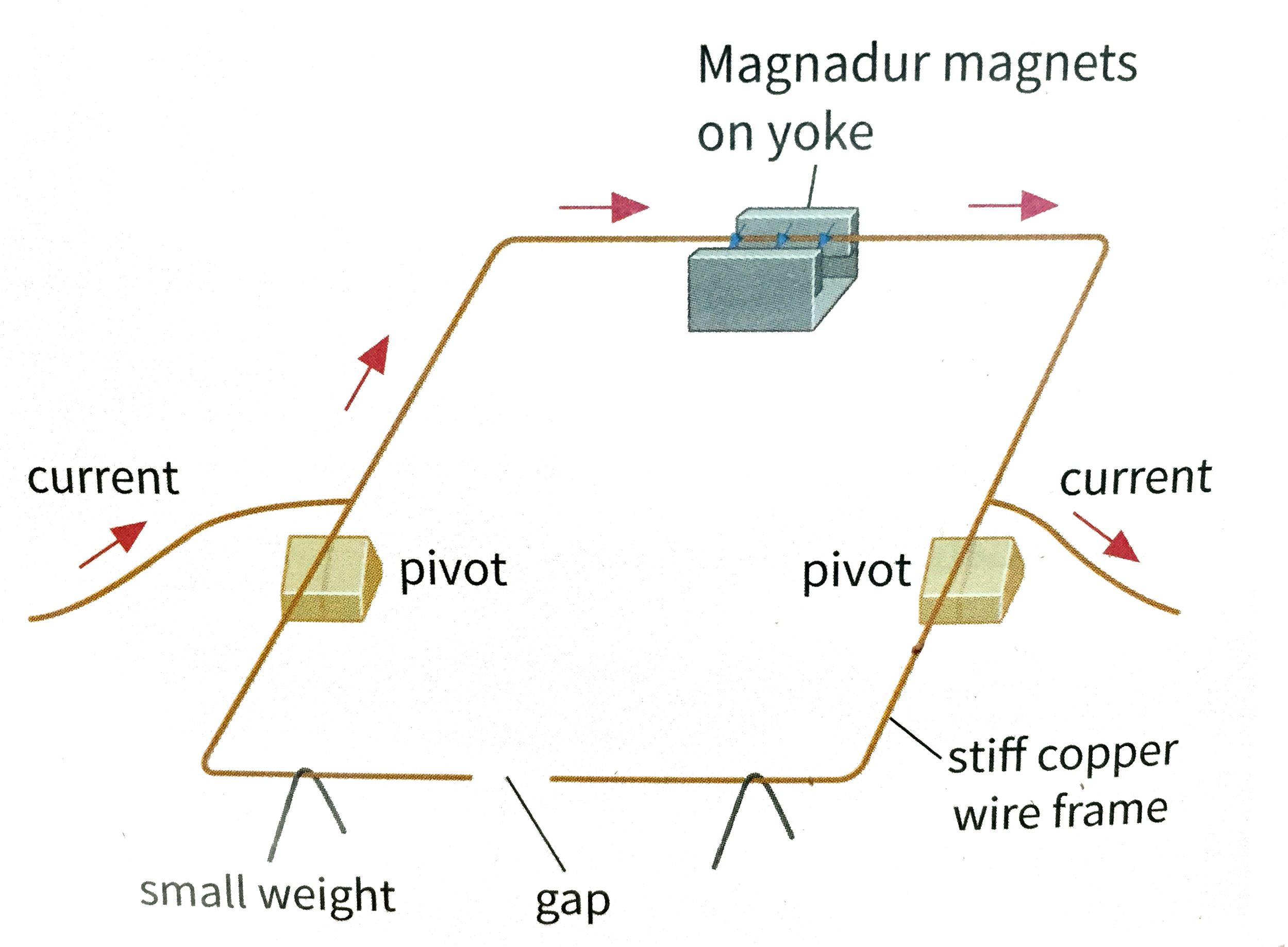 ZNotes | For Students. By Students.