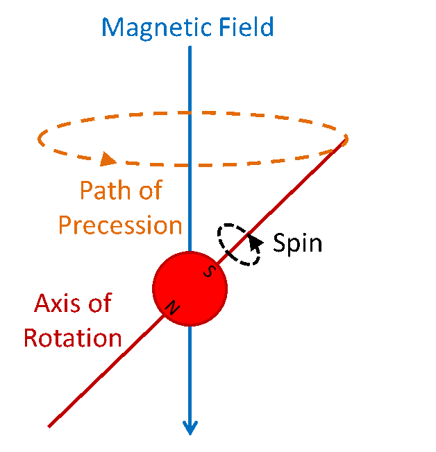 ZNotes | For Students. By Students.