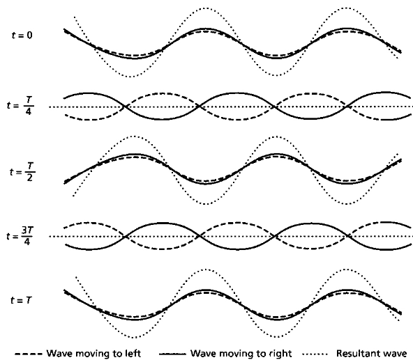 ZNotes - For Students. By Students.