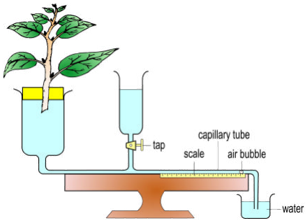 ZNotes | For Students. By Students.