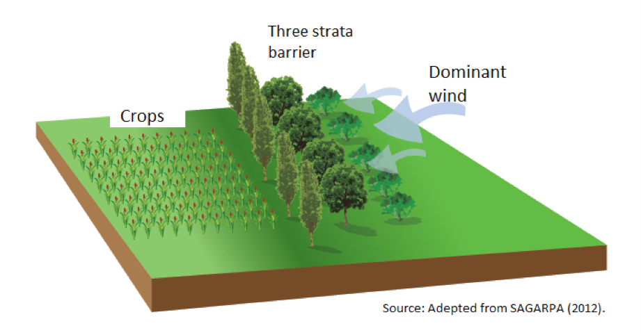 ZNotes | For Students. By Students.