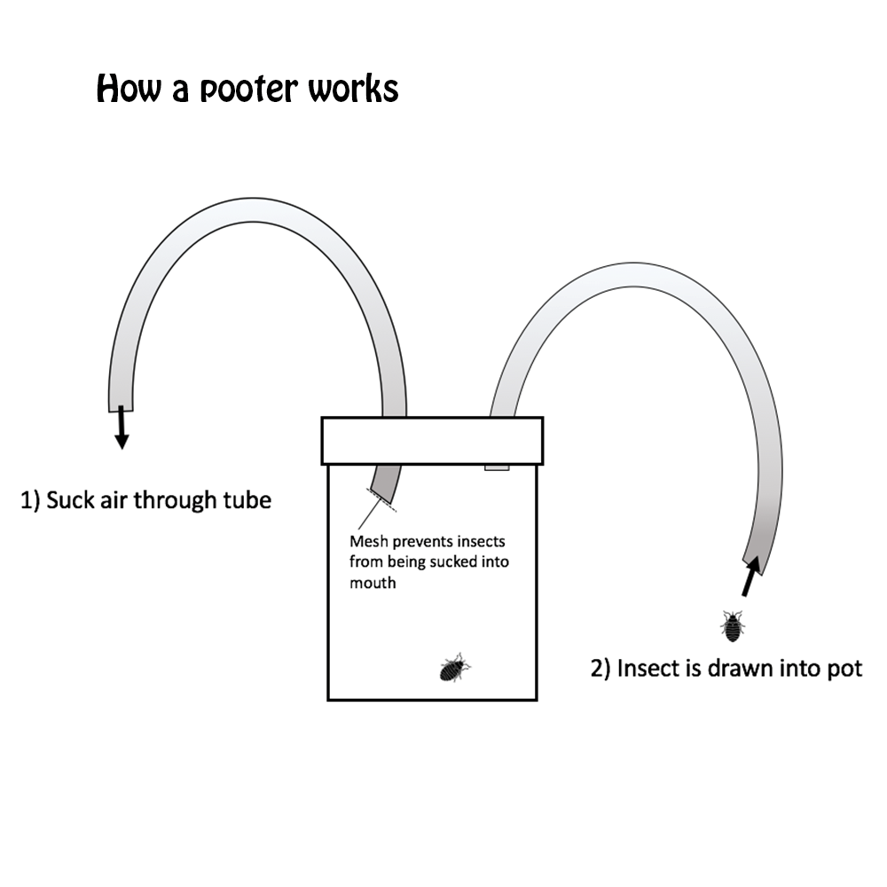 ZNotes | For Students. By Students.