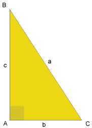 ZNotes | For Students. By Students.