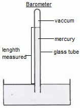 ZNotes | For Students. By Students.