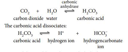 ZNotes | For Students. By Students.
